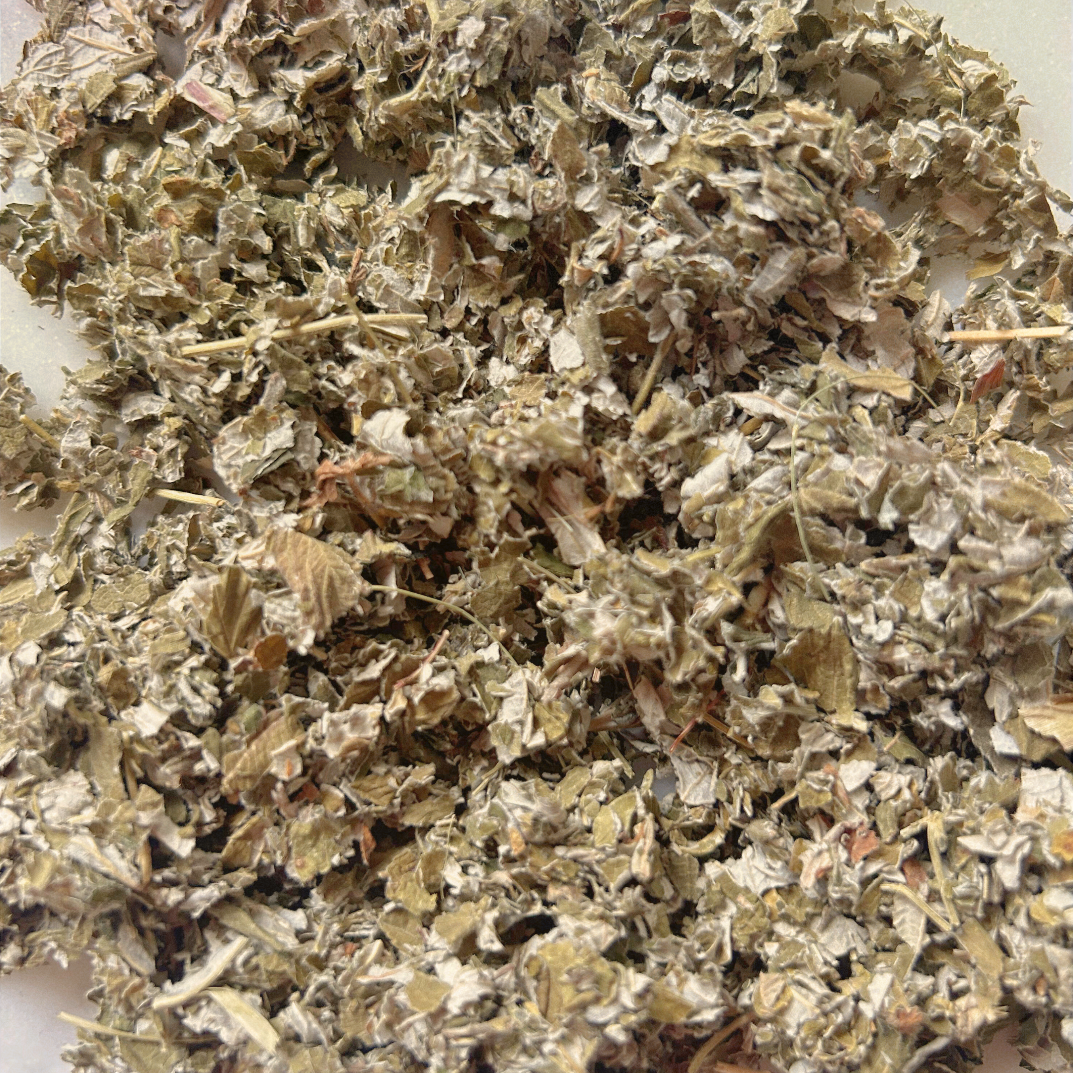 Raspberry Leaf - Loose tea – Sleepy Mango Coffee Company